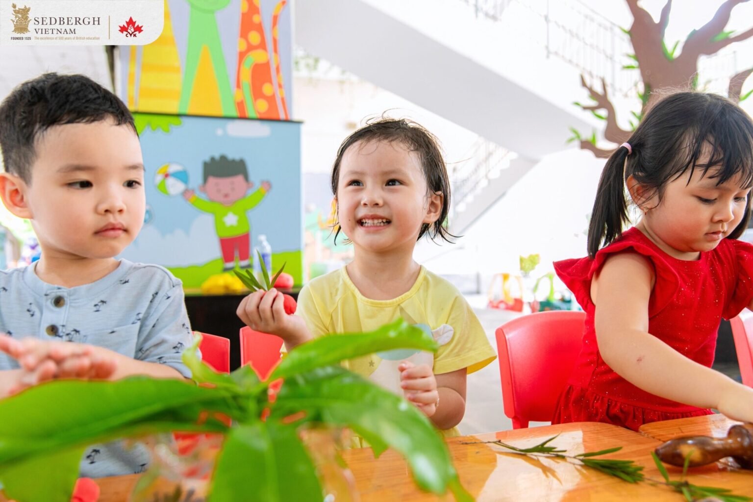 Sedbergh Vietnam - CVK