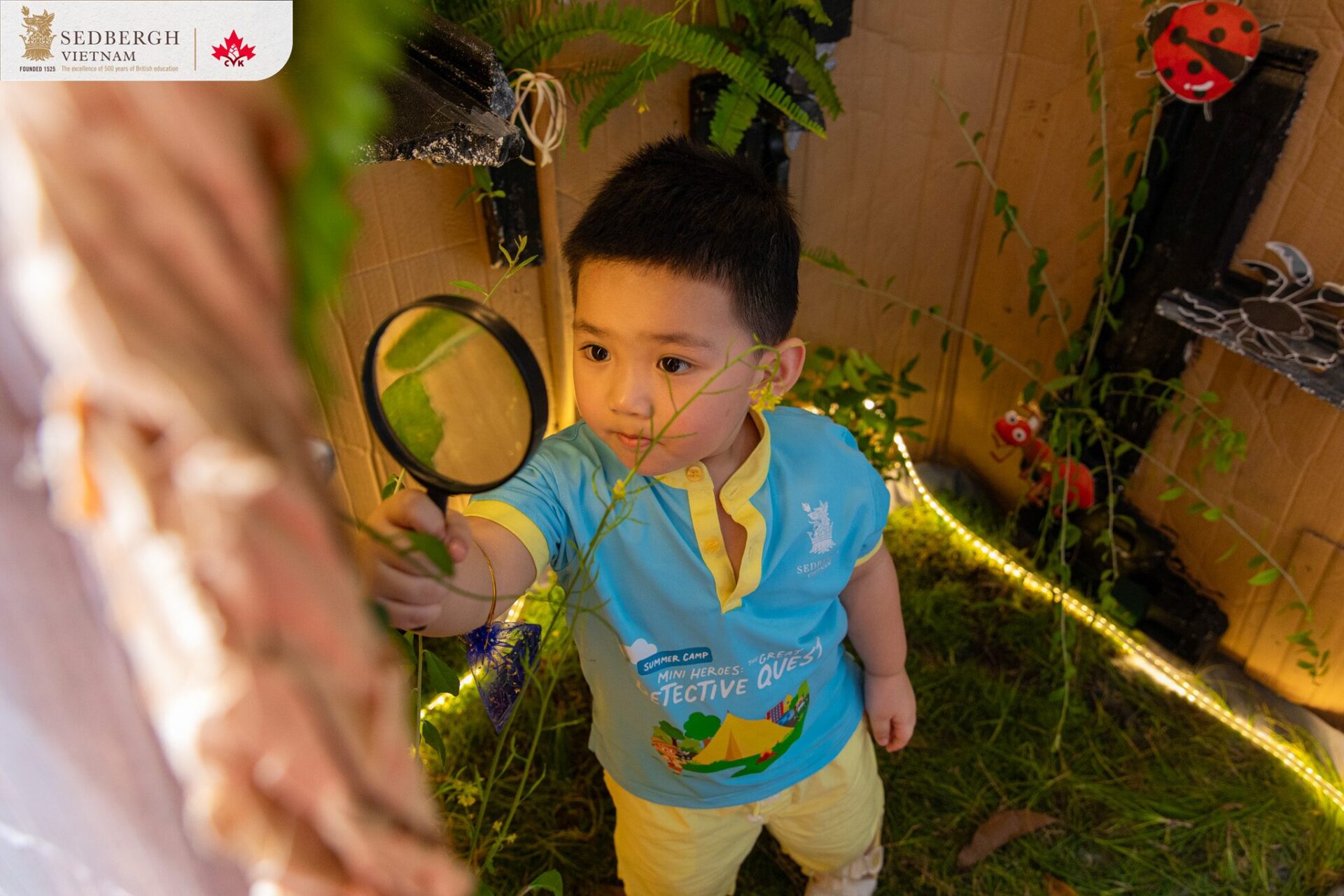 SUMMER CAMP TUẦN 5: LAND OF CURIOSITY - ĐỂ SỰ TÒ MÒ DẪN LỐI CON KHÁM ...
